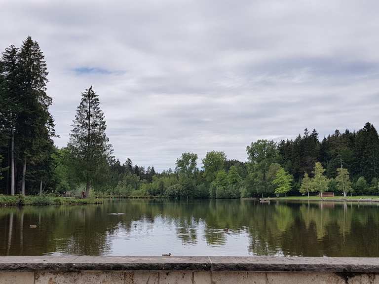 Waldsee bei Lindenberg Routes for Walking and Hiking | Komoot