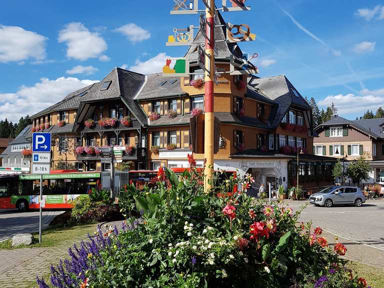 Hinterzarten Routes for Walking and Hiking | Komoot