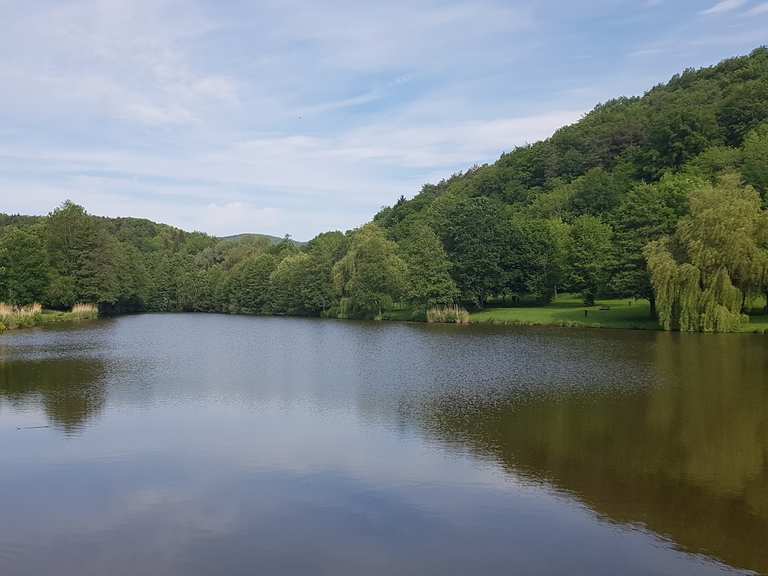 Am Silzer See oberhalb von Silz: Wanderungen und Rundwege | komoot