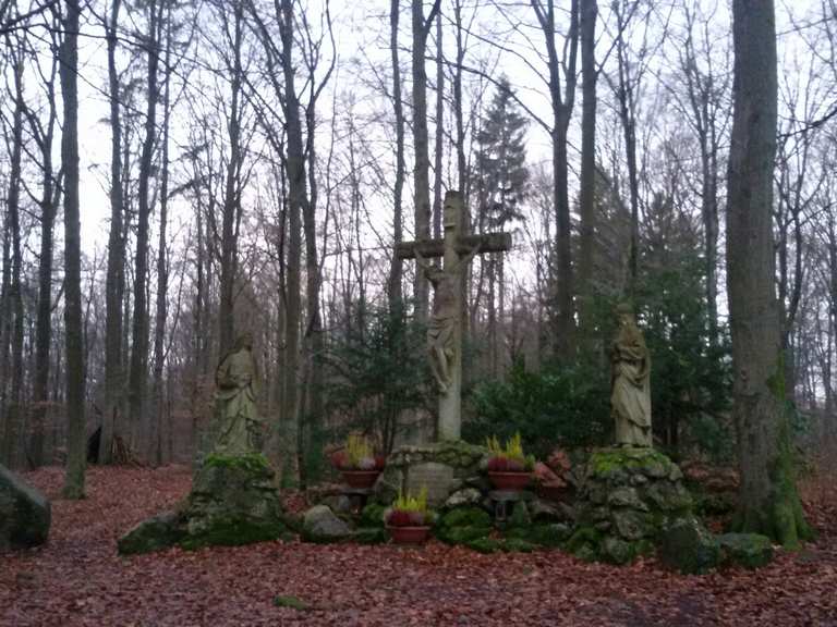 7-Wege Hösbach: Wanderungen und Rundwege | komoot