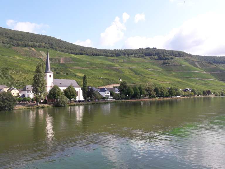 Moselbrücke Piesport - Cycle Routes and Map | Komoot