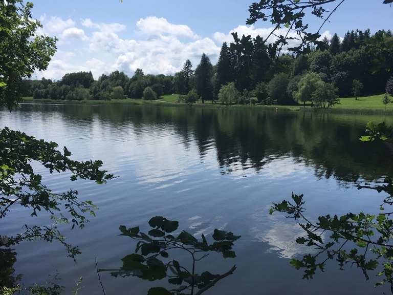 Stausee Losheim: Wanderungen und Rundwege | komoot