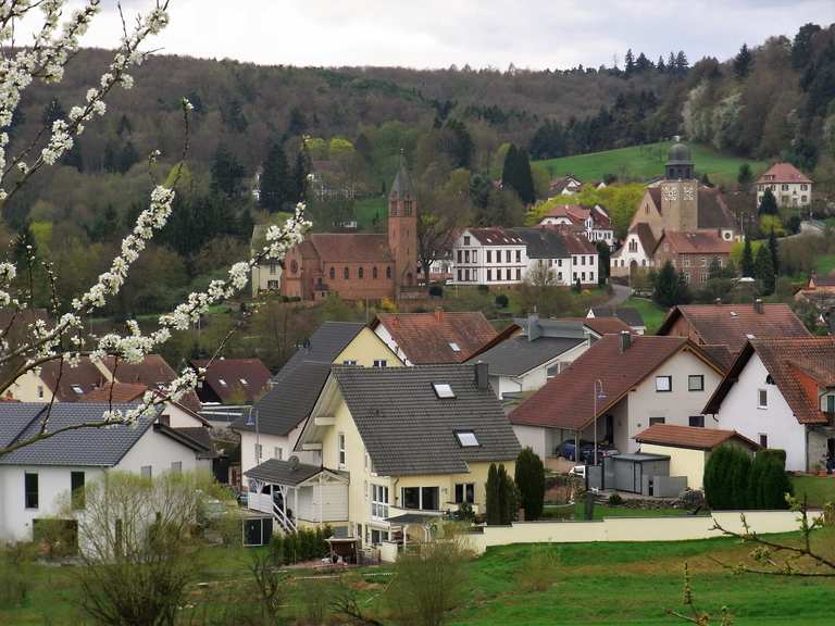 Blick auf Ramsen: Wanderungen und Rundwege | komoot