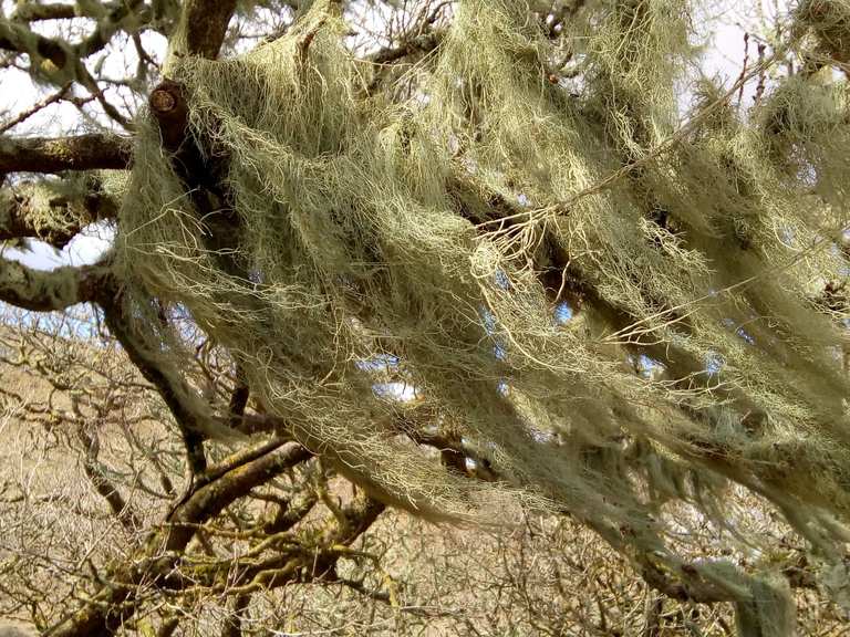 Piles Copse Routes for Walking and Hiking | Komoot