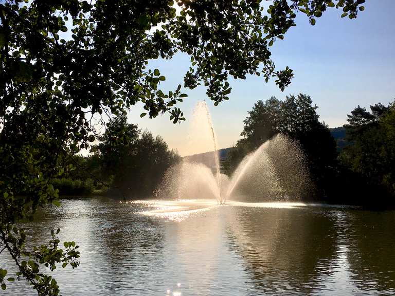 Kurpark Bad König: Wanderungen und Rundwege | komoot