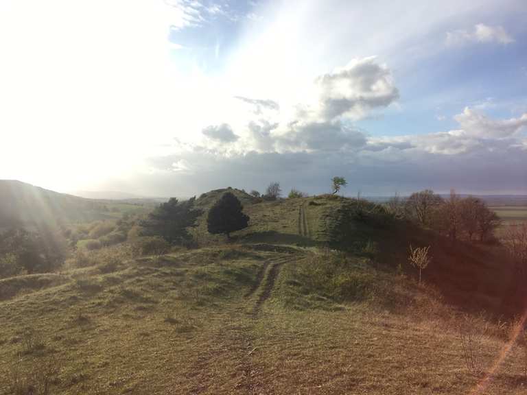 Ziegenberg Trail - traumhaft für MTB: Mountainbike-Touren | komoot