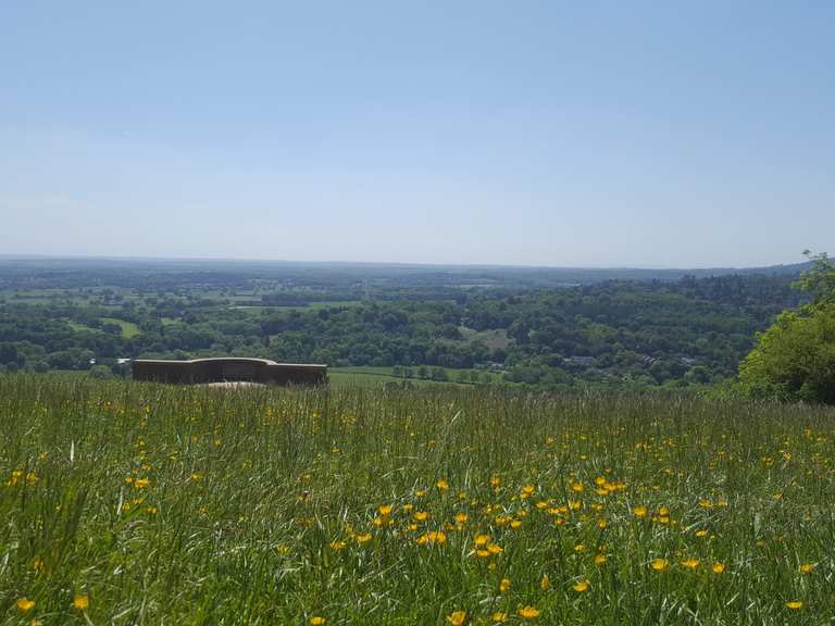 Box Hill & the Stepping Stones loop from Westhumble | hike | Komoot