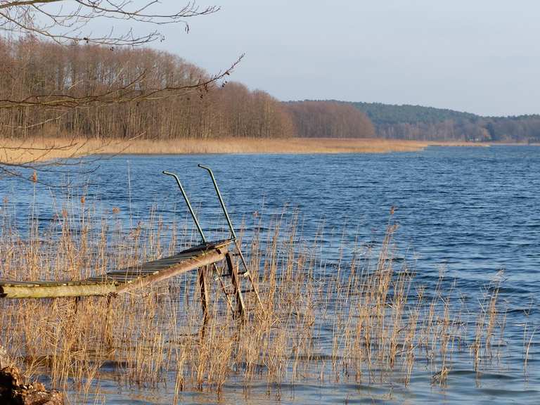 Großer Seddiner See: Wanderungen und Rundwege | komoot