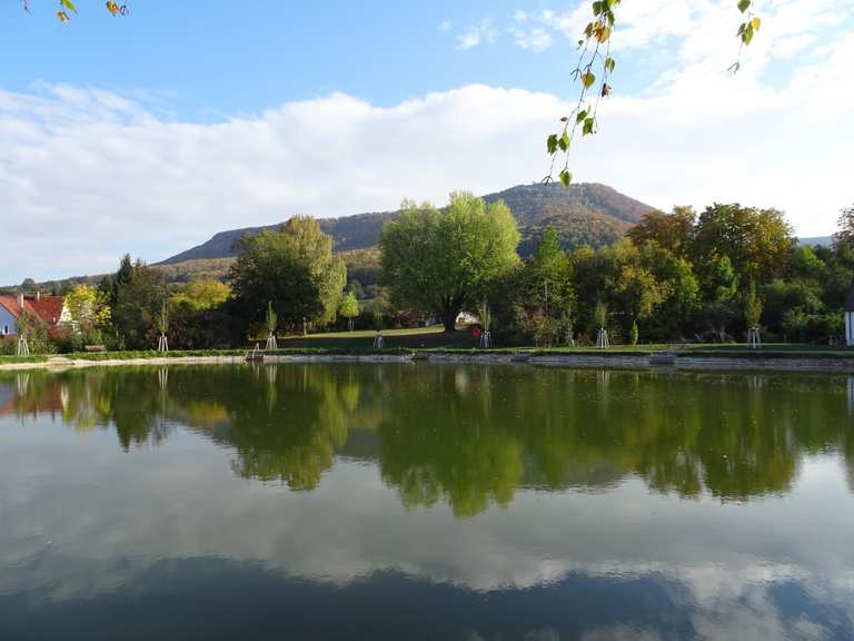 Bissinger See Routes for Walking and Hiking | Komoot