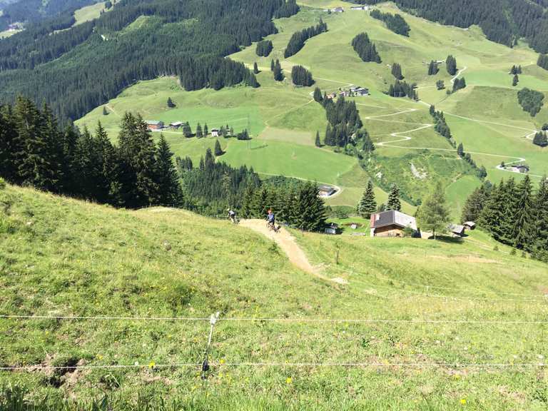 Buchegg Trail: Mountainbike-Touren | komoot