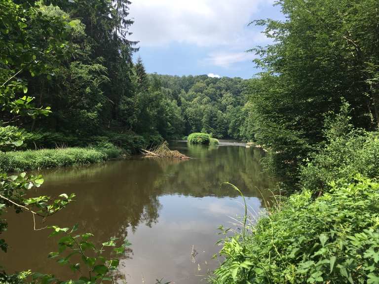 Zwickauer Mulde: Wanderungen und Rundwege | komoot