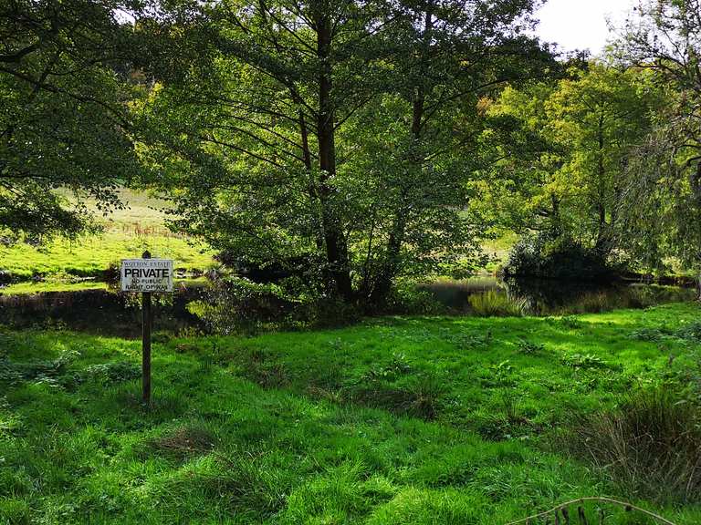 Tillingbourne Waterfall (periodically): Wanderungen und Rundwege | komoot