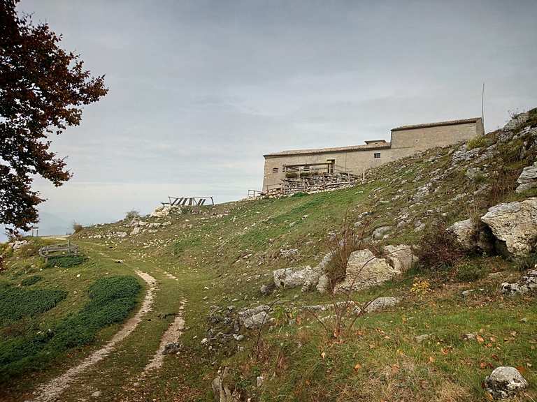 Alpe Malga Pralongo Routes for Walking and Hiking | Komoot