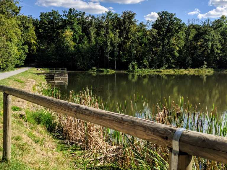 Katzenbachsee: Wanderungen und Rundwege | komoot