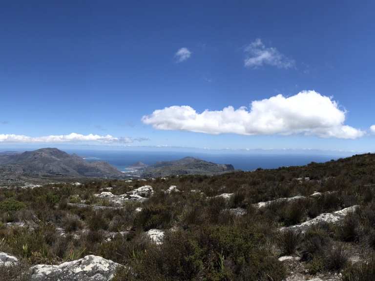 Maclear's Beacon Routes for Walking and Hiking | Komoot