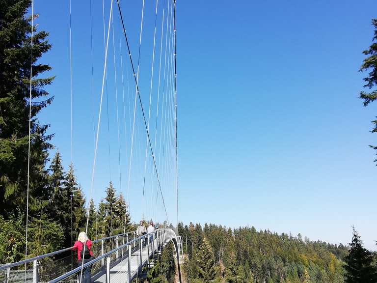 Hängebrücke Wildline - Bad Wildbad, Calw | Hiking Tips & Photos | Komoot