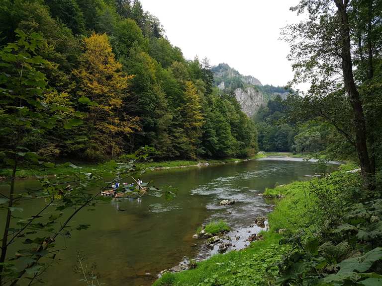 The Dunajec River Gorge Cycle Routes and Map | Komoot