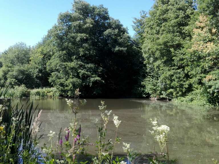 Deckenbach – Bachquerung Loop from Homberg (Ohm) | hike | Komoot