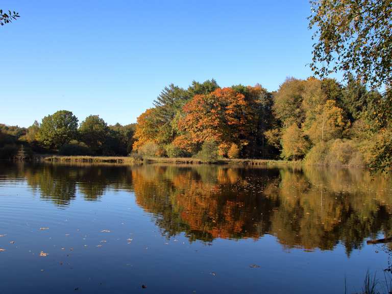 Der Rammsee in Brekendorf Routes for Walking and Hiking | Komoot
