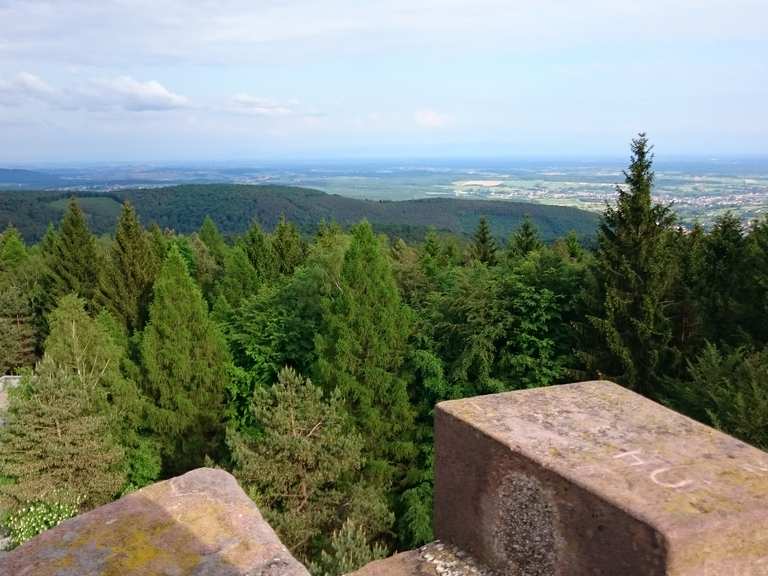 Grand Wintersberg - Itinéraires de rando et marche | Komoot