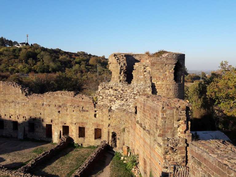 Burg Neuleiningen mit Museum im Burgturm: Wanderungen und Rundwege | komoot