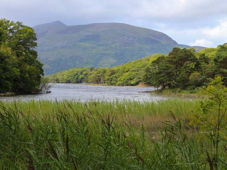Muckross Lake Loop – Killarney Nationalpark | Wanderung | Komoot