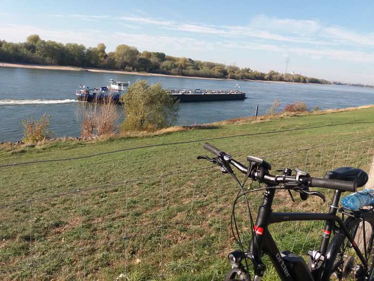 Rheinradweg: Radtouren und Radwege | komoot