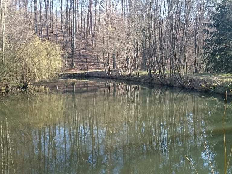Eichensee: Wanderungen und Rundwege | komoot
