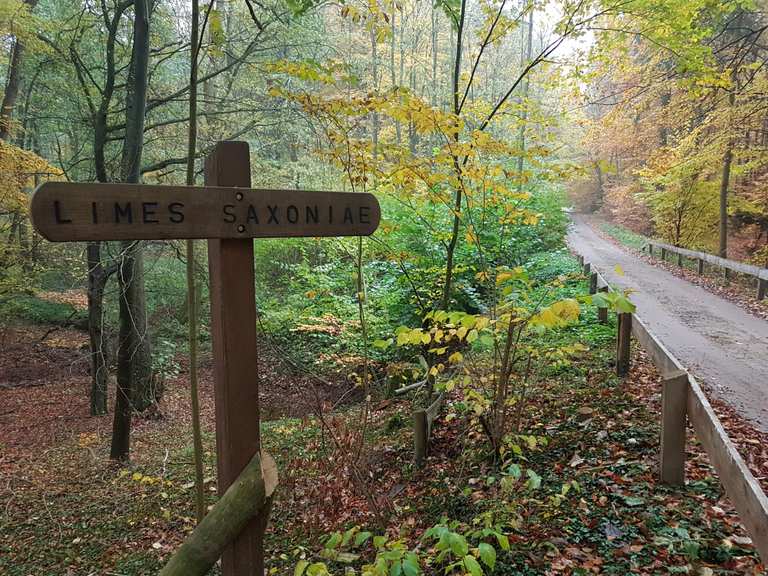 Limes Saxoniae Trammer/Niendorfer Weg : Radtouren und Radwege | komoot