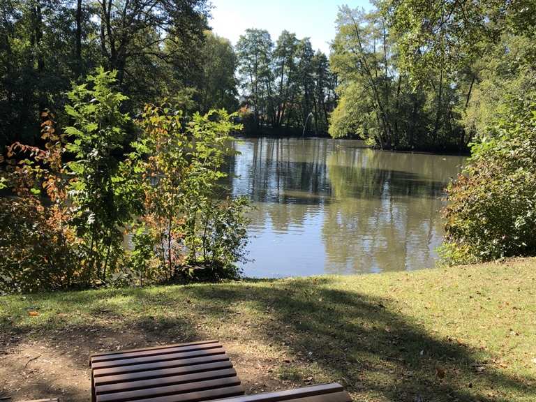 Riedsee: Wanderungen und Rundwege | komoot