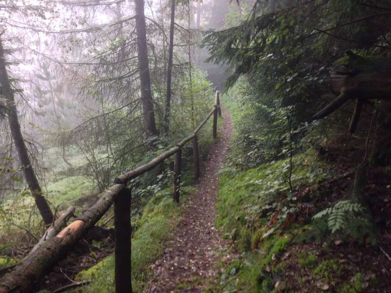 Karstwanderweg - Woffleben-Sattelköpfe-Hörningen: Wanderungen und ...
