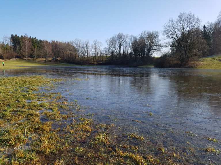 Eichener See: Wanderungen und Rundwege | komoot