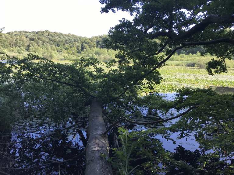 Roikier See - Glücksburg, Schleswig-Flensburg | Hiking Tips & Photos ...