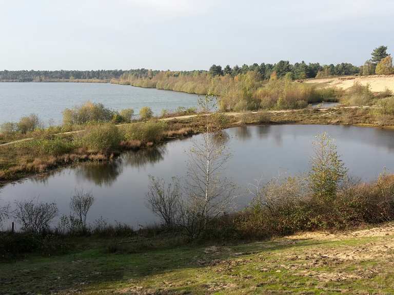 Maasduinen Reindersmeer wandelroutes en hikes | Komoot