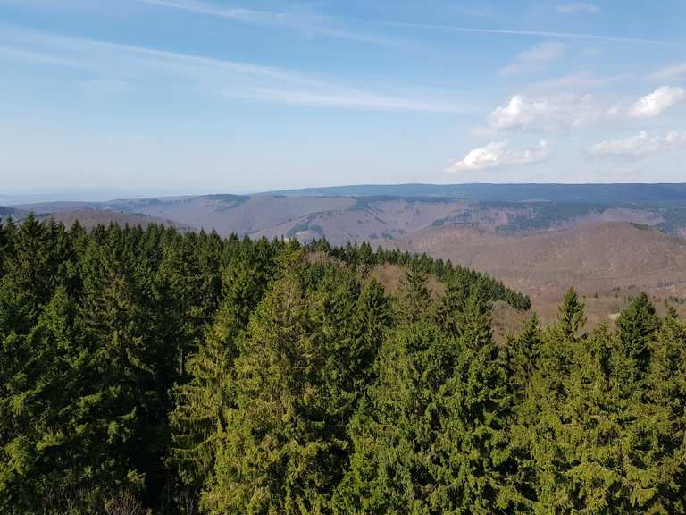 Aussichtsturm Großer Knollen: Wanderungen und Rundwege | komoot