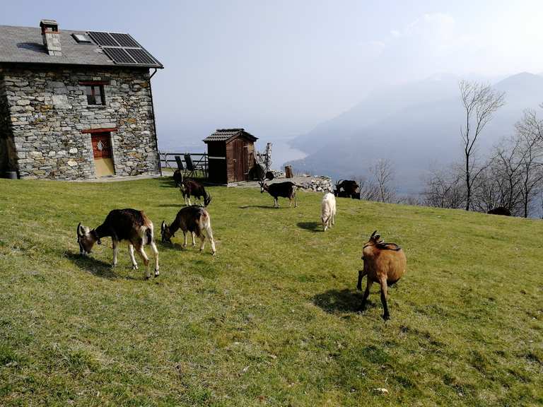 Alpe Marcalone Routes for Walking and Hiking | Komoot