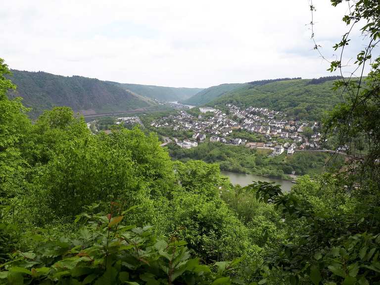 Pinnerkreuz: Wanderungen und Rundwege | komoot