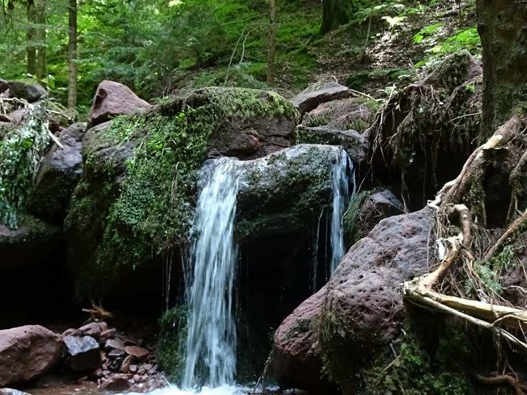 Wolfsschlucht - Hirsau, Calw | Hiking Tips & Photos | Komoot