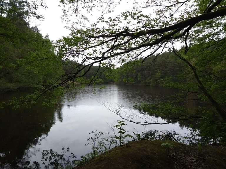 Enger Weg am Abgrund – Veitenstein Runde von Bamberg | Mountainbike ...