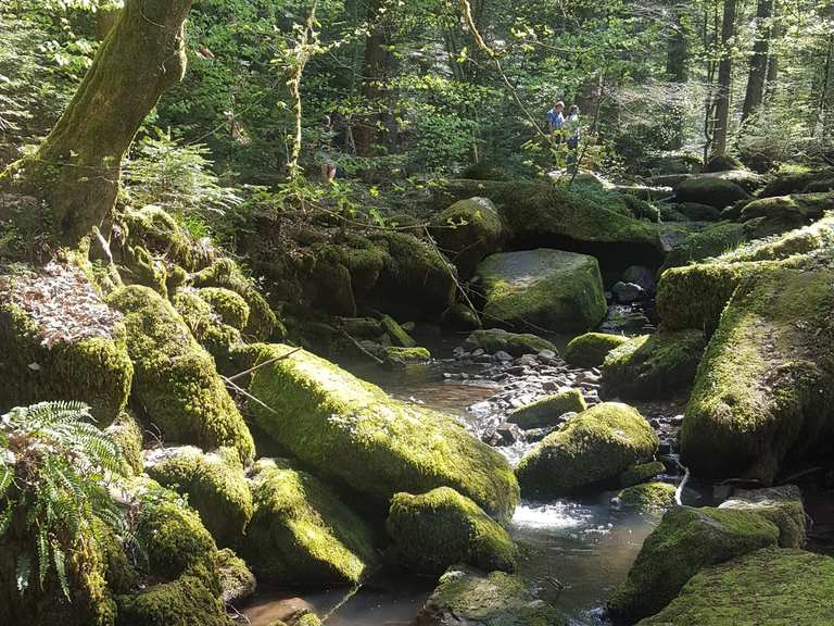 Im Monbachtal - Routes for Walking and Hiking | Komoot