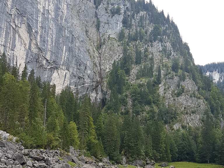 Kammersee und Traun-Ursprung: Wanderungen und Rundwege | komoot