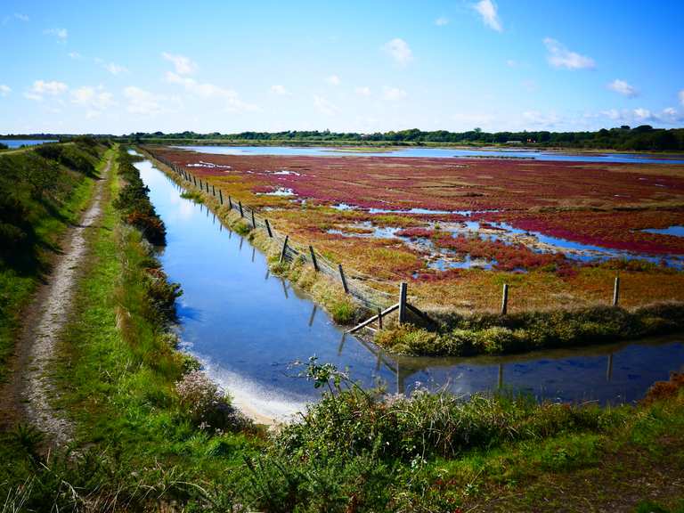 Normandy Lagoon and Sea Wall Routes for Walking and Hiking | Komoot