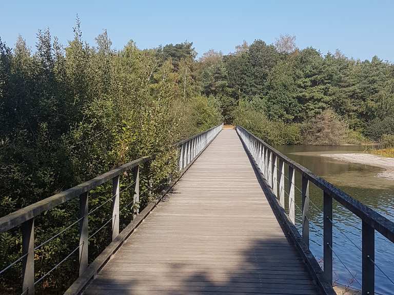 Reindersmeer: Wanderungen und Rundwege | komoot