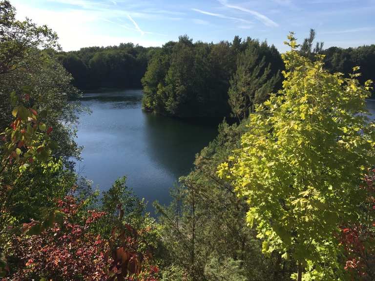 Vogelsberger See, Canyon-Brücke Routes for Walking and Hiking | Komoot