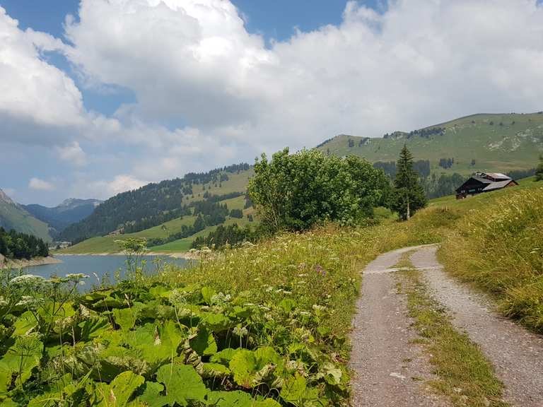 Lac de l'Hongrin: Wanderungen und Rundwege | komoot