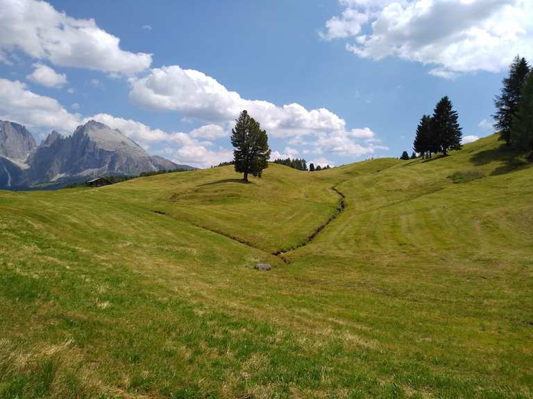 Seiser Alm Bahn Bergstation Routes for Walking and Hiking | Komoot