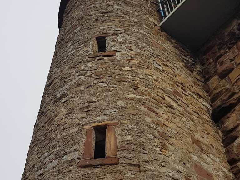 Turmberg Karlsruhe-Durlach: Wanderungen und Rundwege | komoot