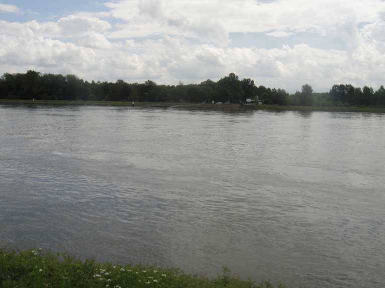 Ferry Greffern–Drusenheim - Itinéraires vélo et carte | Komoot