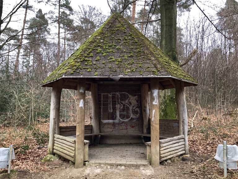 Runen Baum Loop from Hennef (Sieg) | Wanderung | Komoot