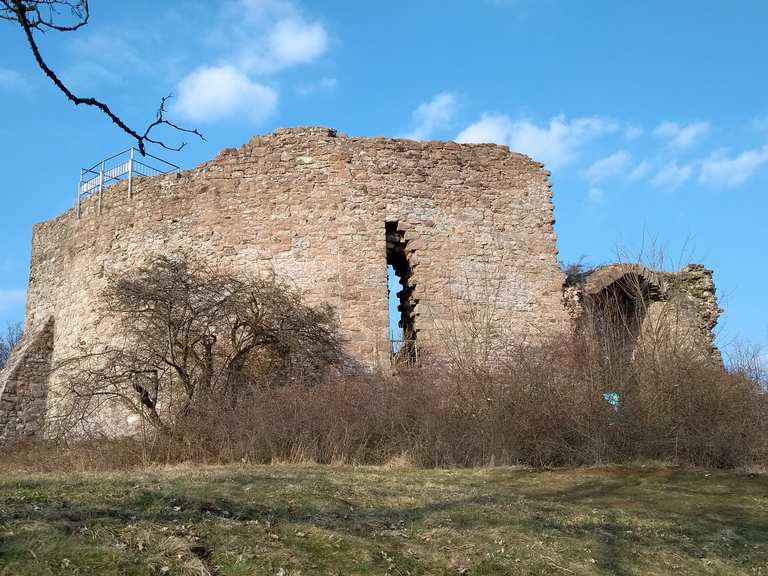Frauenberg - Burgruine Routes for Walking and Hiking | Komoot